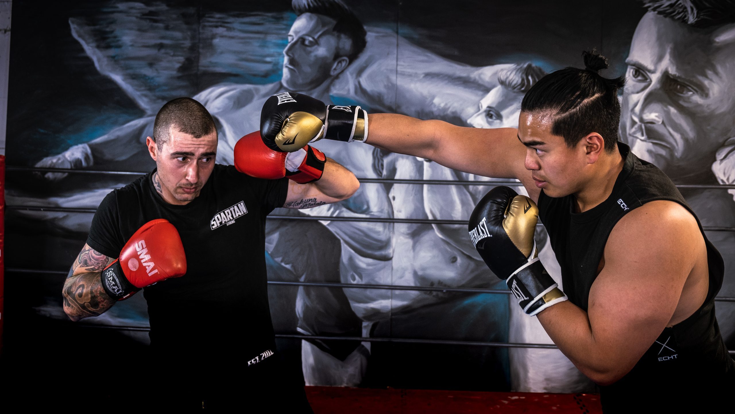 Home - Fighting Lyons